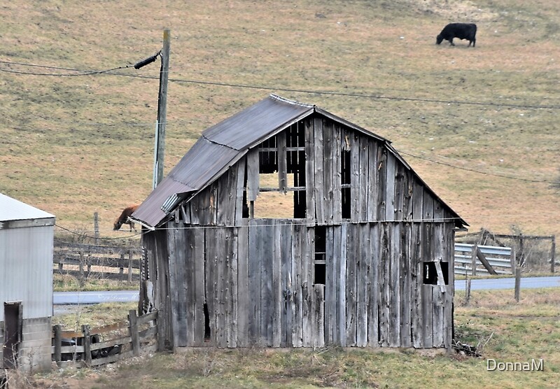"Natural Barn " by DonnaM | Redbubble