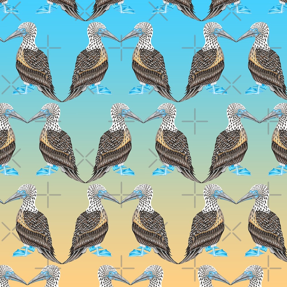 "Blue Footed Booby Pattern" by Free-Spirit-Meg | Redbubble