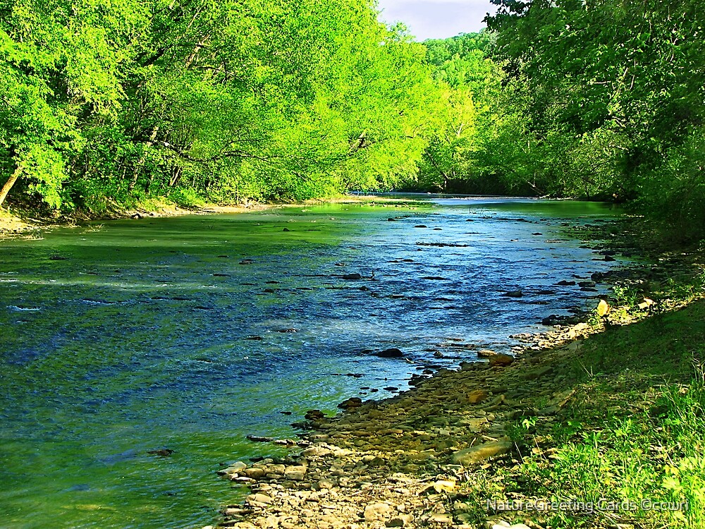 "Gorgeous Spring Day On The River" by NatureGreeting Cards ©ccwri ...