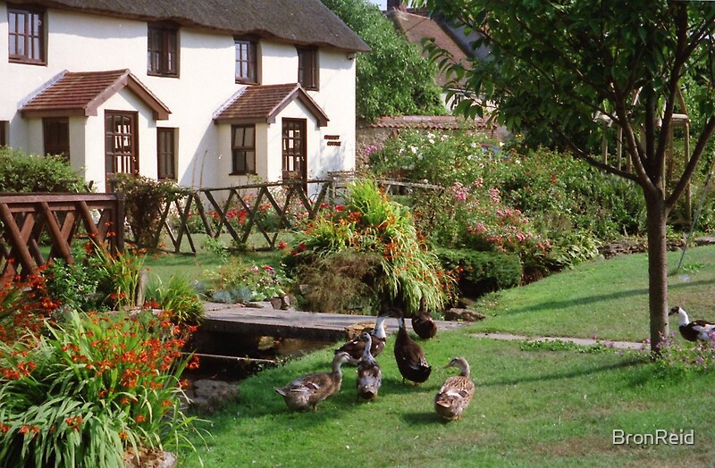 "Snail Patrol" by BronReid | Redbubble