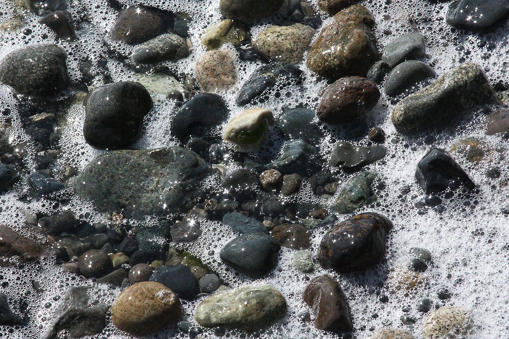 "Rocky Beach on Puget Sound - Des Moines Washington" by chaplinjs ...