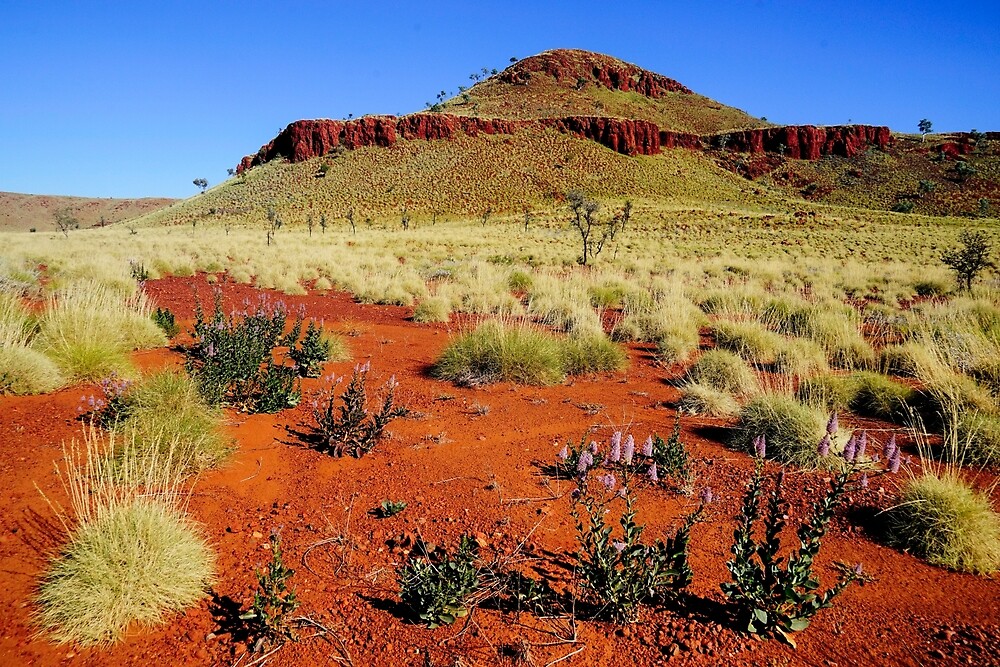 "Pilbara Landscape" by Harry Oldmeadow | Redbubble