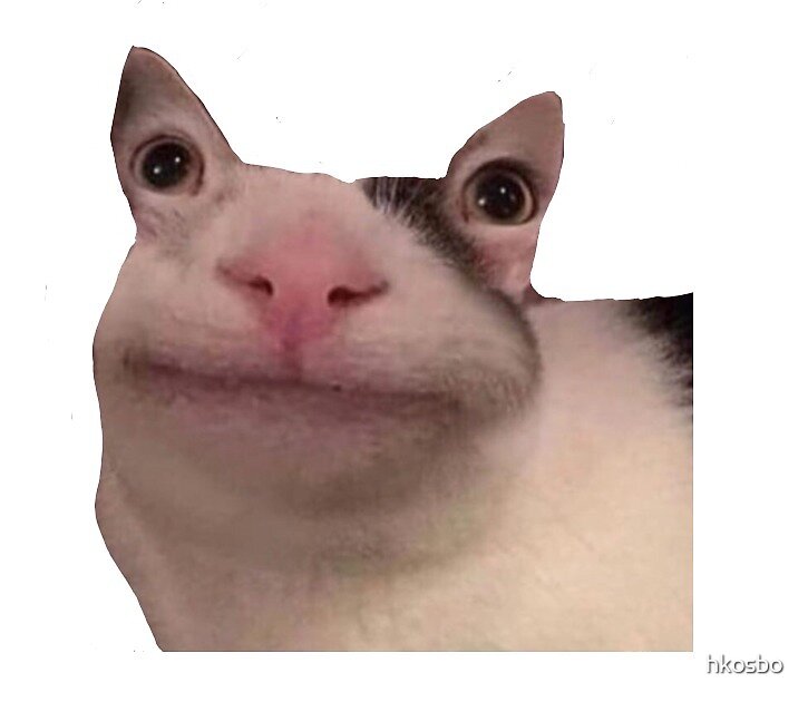 "Cat Meme with Eyes in Ears" by hkosbo | Redbubble