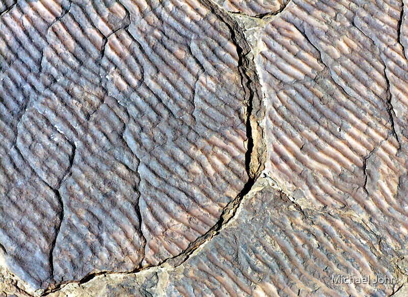 "Fossilised Ripples" by Michael John | Redbubble