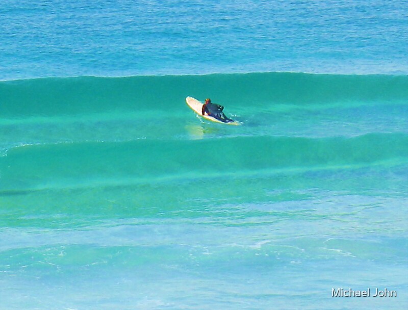 "Facing the Wave" by Michael John | Redbubble