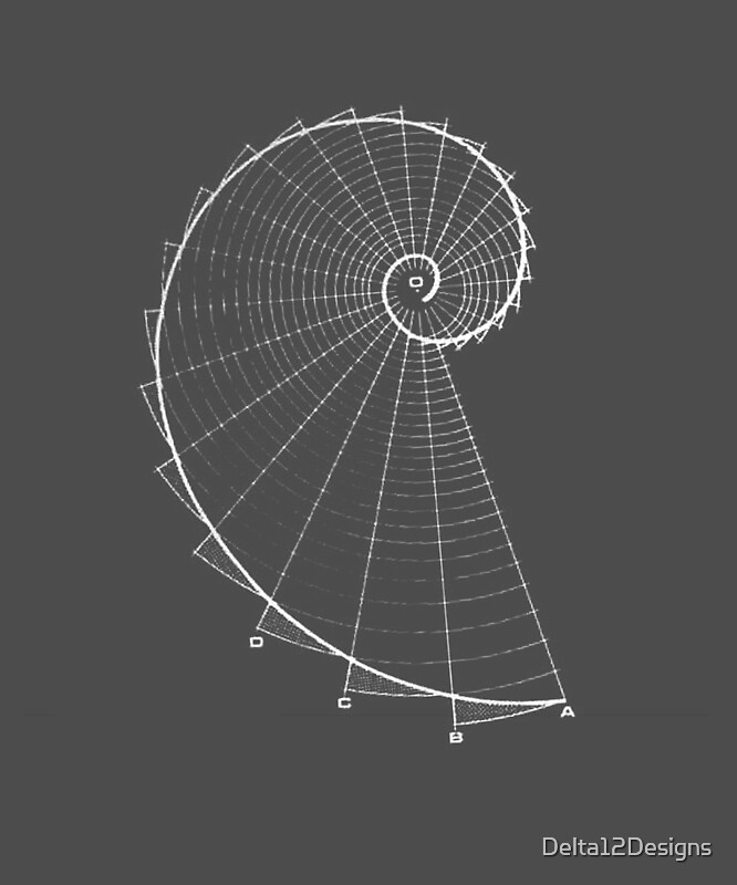 "Fibonacci White Chalk Optic" by Delta12Designs | Redbubble