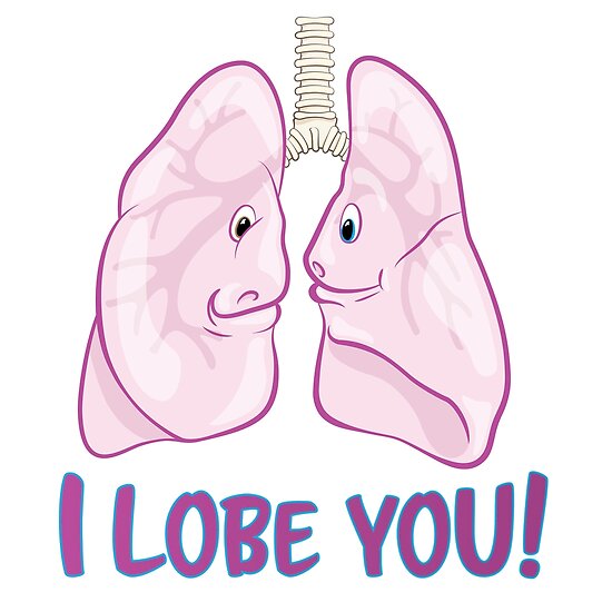 "I Lobe You - Funny Anatomy Science Lungs Cartoon" Poster by Zit-Zat ...