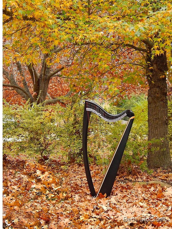 "Harp in the Fall Leaves" by Beth Stockdell | Redbubble