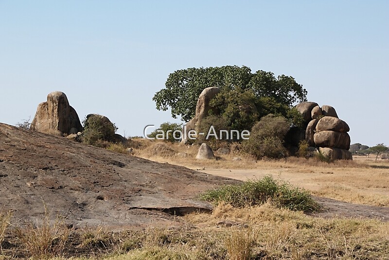 "Rock Formations, Kopjes in Serengeti National Park, Tanzania" by ...