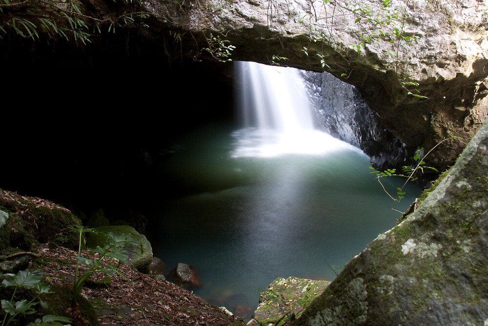 "Natural Bridge, Springbrook National Park" by smallan | Redbubble