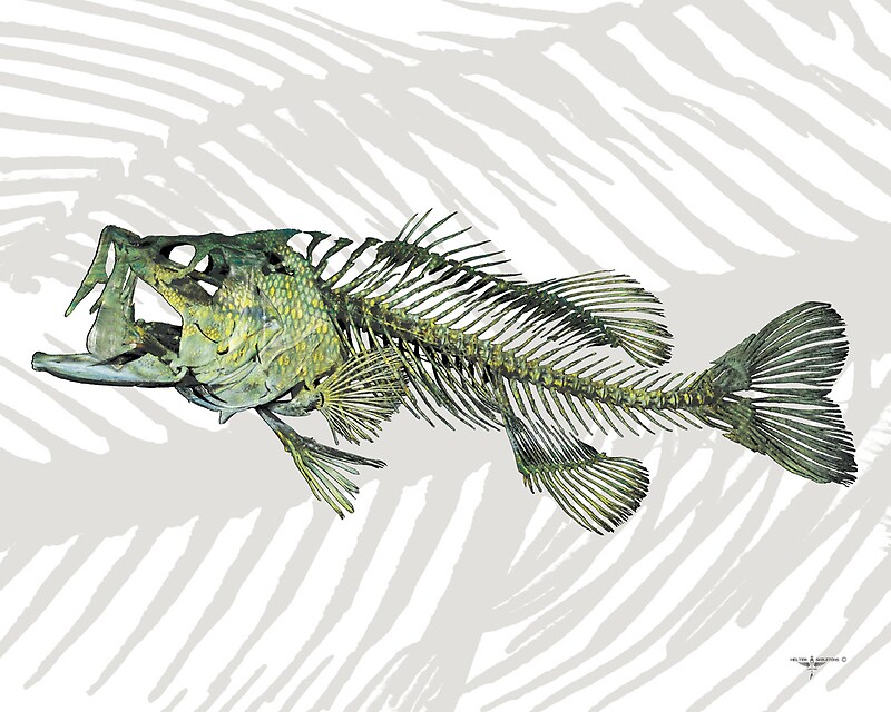 "Largemouth Bass" by helterskeletons | Redbubble