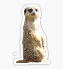 Meerkat Stickers | Redbubble