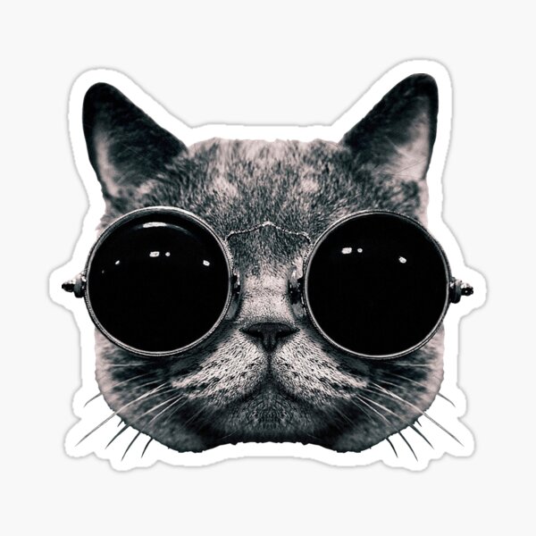 Meow Stickers | Redbubble