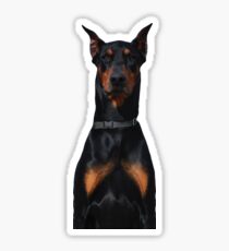 Doberman Stickers | Redbubble