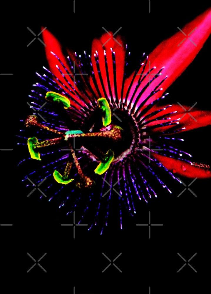 "Alien Passion From Planet Zorg" by Heather Friedman | Redbubble