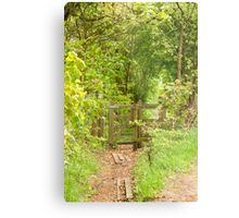 "Country path in Spring" by Sue Knowles | Redbubble