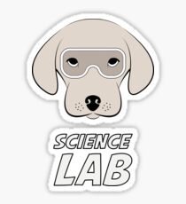 Scientist Stickers | Redbubble