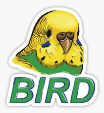 Bird Stickers | Redbubble