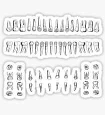 Dentist Stickers | Redbubble