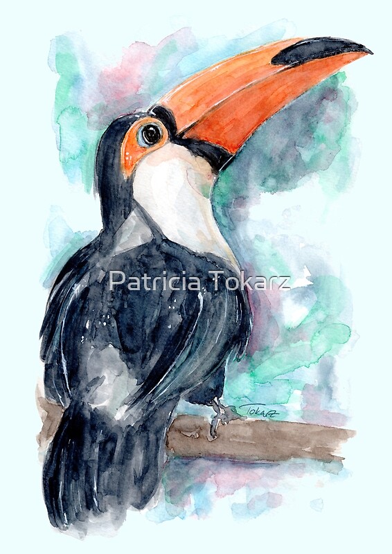 "Toucan - Watercolour Painting" by Patricia Tokarz | Redbubble