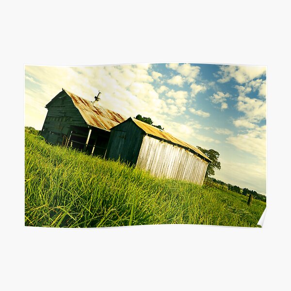 Timberland Posters | Redbubble