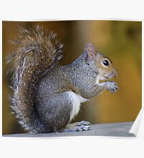 Scrat: Gifts & Merchandise | Redbubble