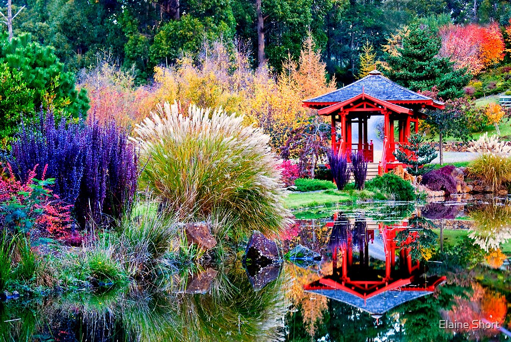 "Colourful Gardens" by Elaine Short | Redbubble