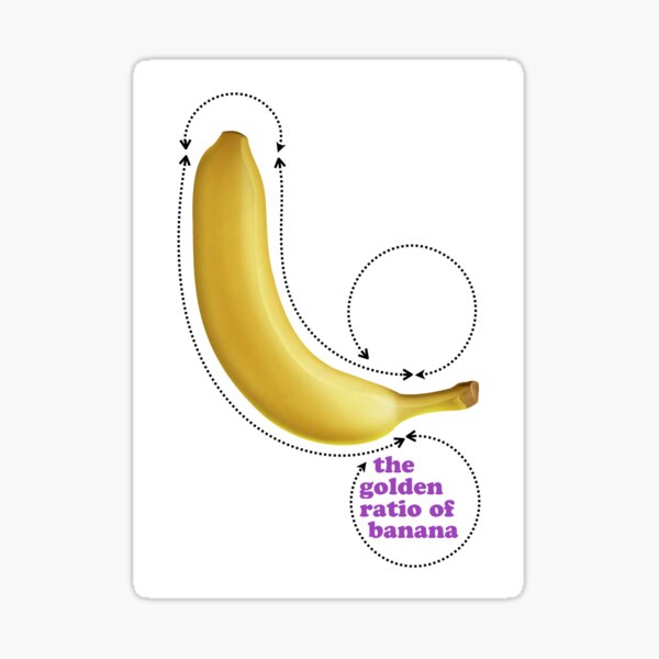 The Golden Ratio Stickers | Redbubble