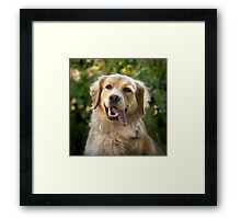 "Sunny" by Marion Cullen | Redbubble