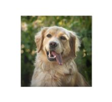 "Sunny" by Marion Cullen | Redbubble