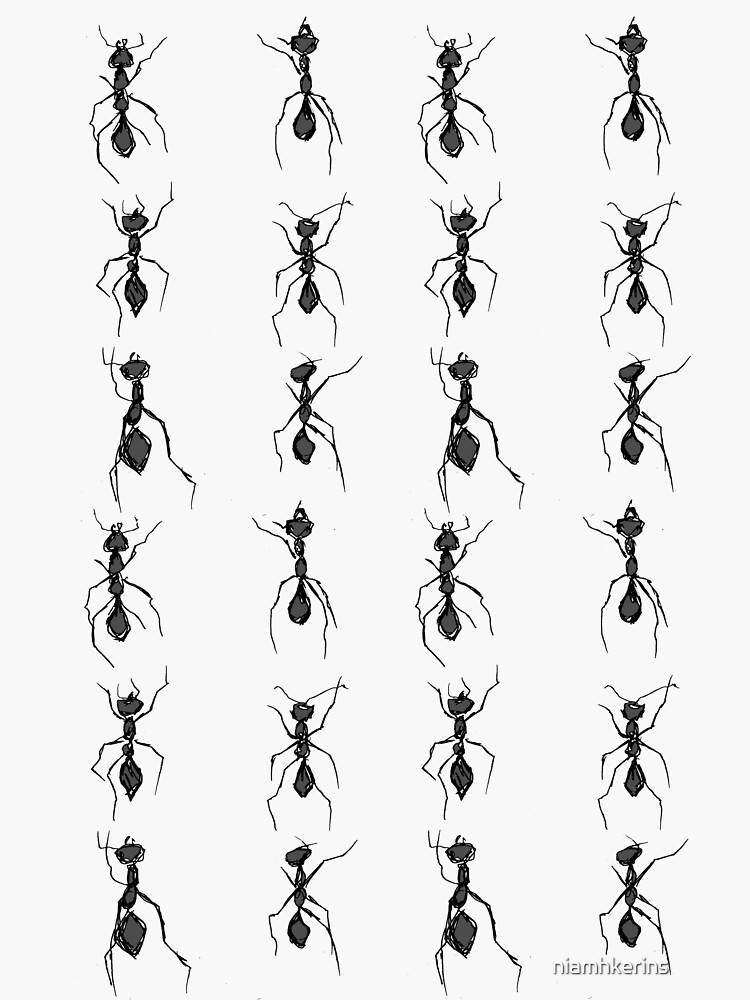 "ANTS" Sticker by niamhkerins | Redbubble
