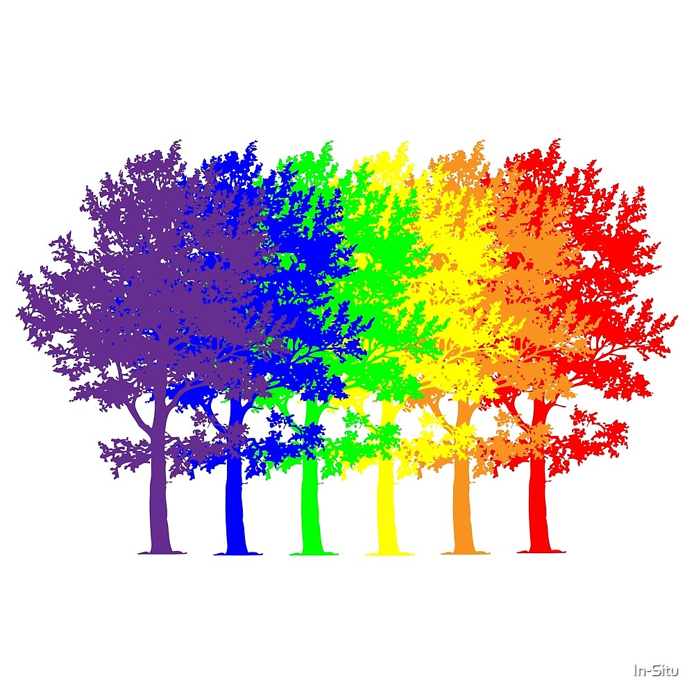"Rainbow Forest" by In-Situ | Redbubble