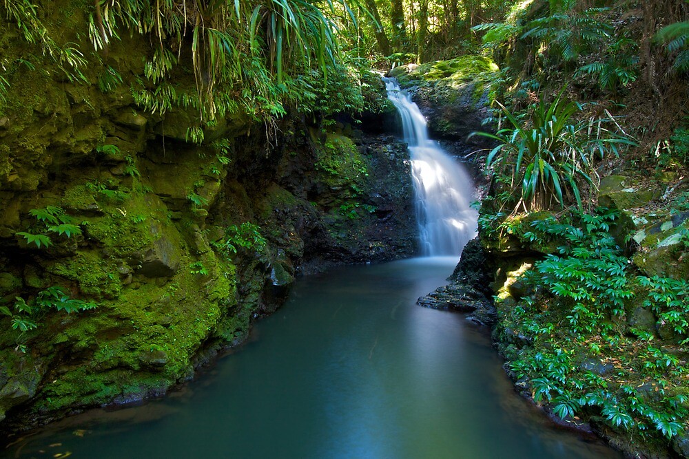 "Echo Falls in Lamington National Park" by Mark Pearce | Redbubble