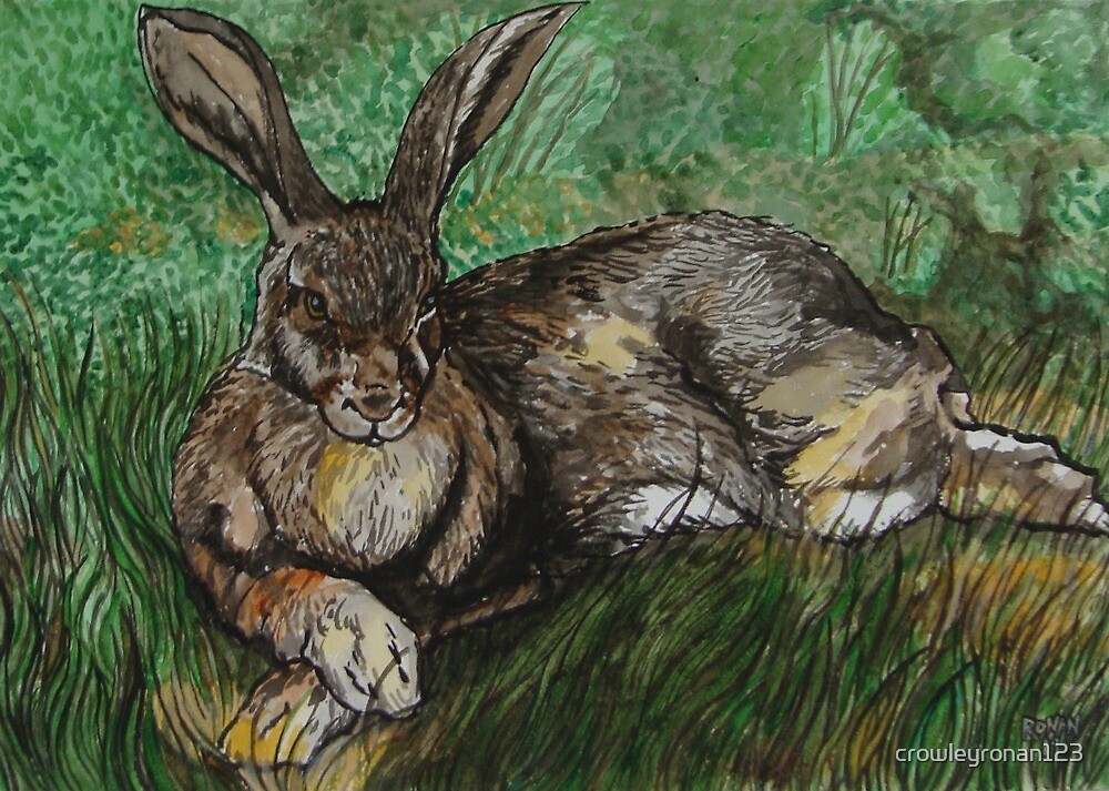 "Resting Hare" by Ronan Crowley | Redbubble