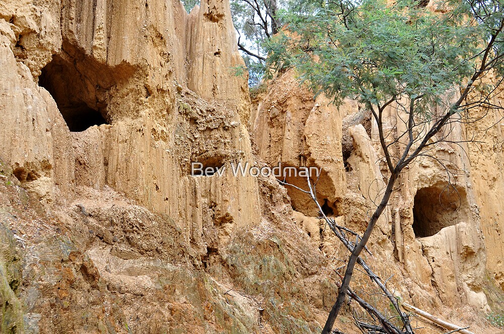 "Tambaroora Golden Gully NSW Australia" by Bev Woodman | Redbubble