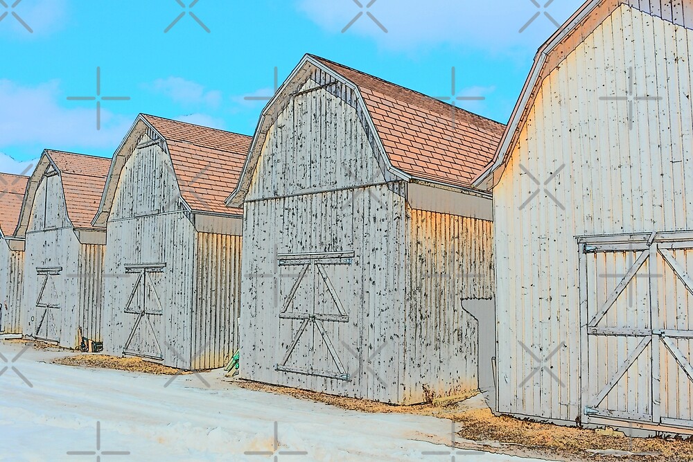 "The Sheds" by Richard W J Conyard | Redbubble