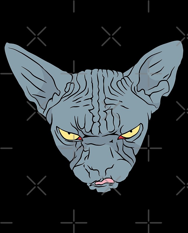 "Grumpy Angry Sphynx Cat Face" by therealsadpanda | Redbubble