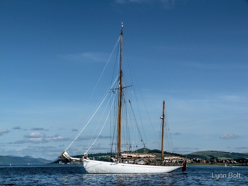 "Ketch" by Lynn Bolt | Redbubble