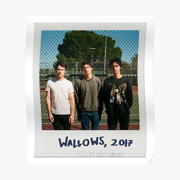Wallows Posters | Redbubble