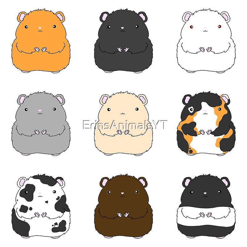 "Hamster Colours" by ErinsAnimalsYT | Redbubble