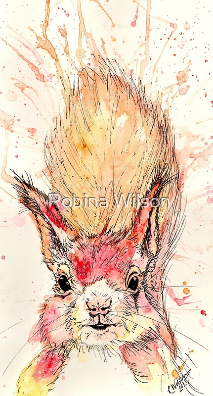 "Hazel Squirrel" by Robina Wilson | Redbubble