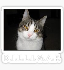 Dilligaf Stickers | Redbubble