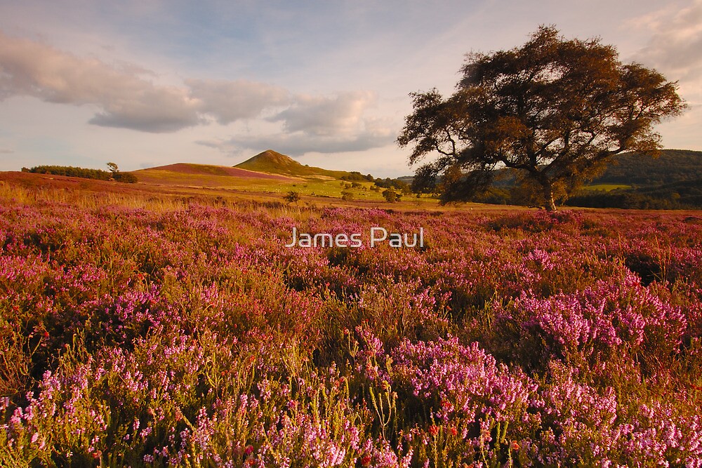 "Hawnby Hill, Hawnby, North Yorkshire Moors" by James Paul | Redbubble