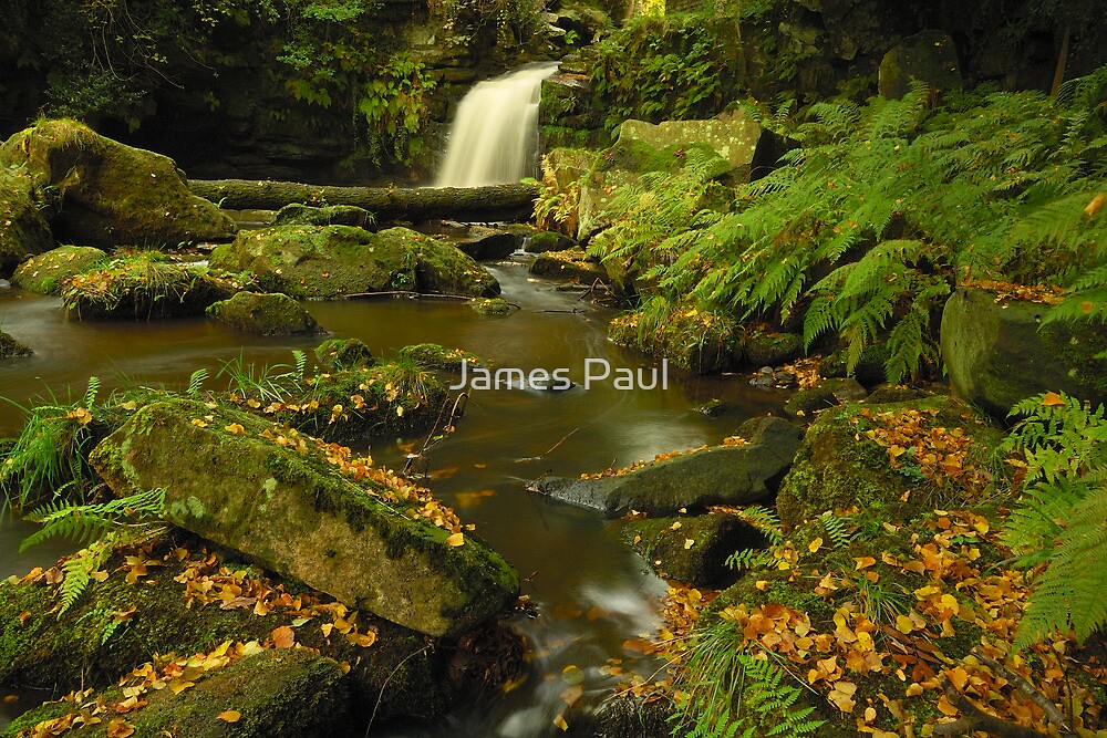 "Thomasson Foss, Beck Hole, North Yorkshire Moors" by James Paul ...