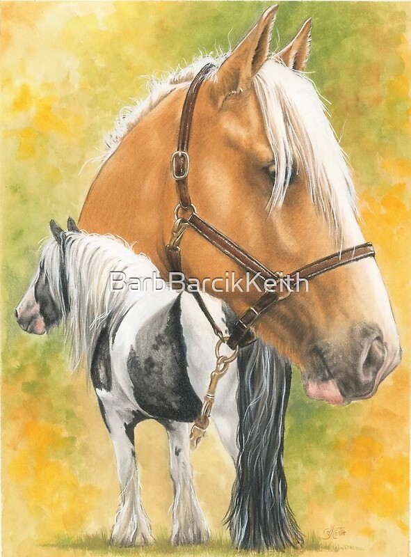 "Irish Cob" by BarbBarcikKeith | Redbubble