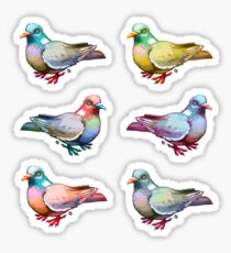 Pigeon: Stickers | Redbubble