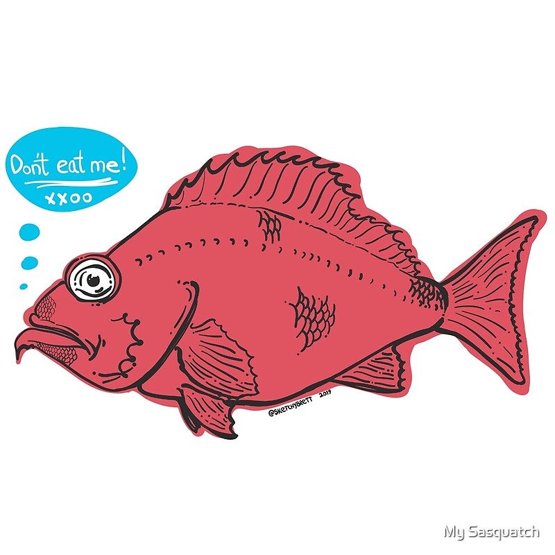 "Acadian Redfish" by sketchybrett | Redbubble