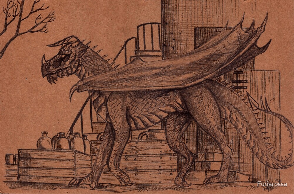 "Adolescent Dragon" by Furiarossa | Redbubble