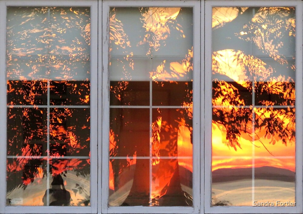 "A Beautiful Reflection" by Sandra Fortier | Redbubble