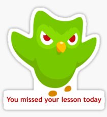 Duolingo Stickers | Redbubble